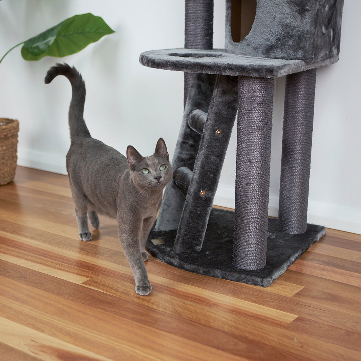 Corner 3 Level Cat Playground - Charcoal – Kazoo Pet Co