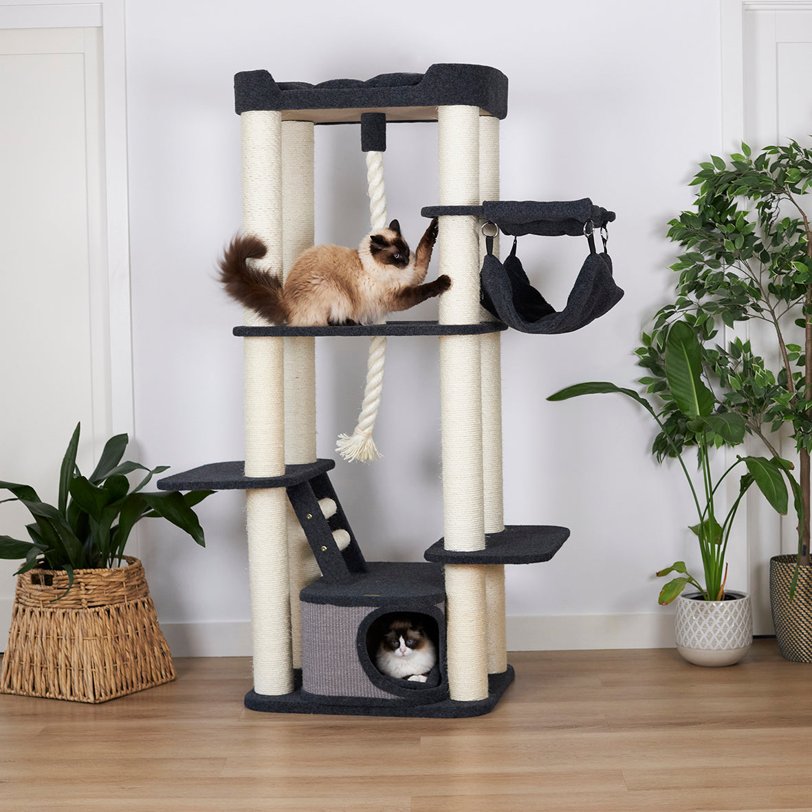 Kitty Climb Playground - Grey Carpet – Kazoo Pet Co