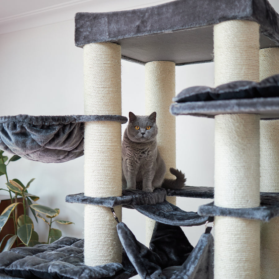 Kitty Tower Playground – Kazoo Pet Co