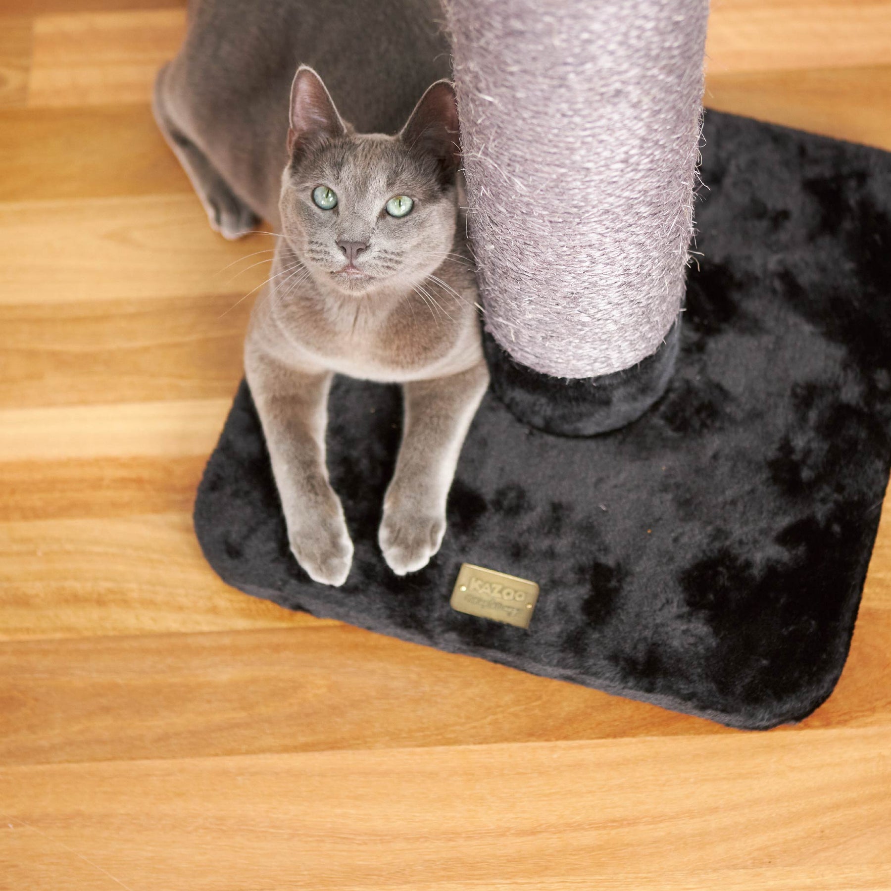 Cat Scratch Post - Medium – Kazoo Pet Co