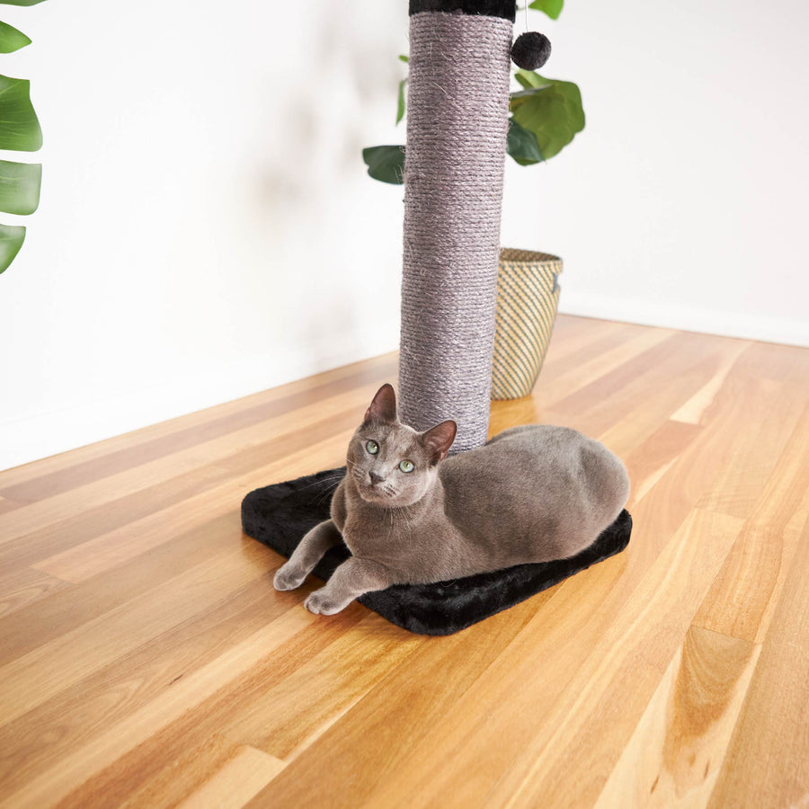 Cat Scratch Post - Medium – Kazoo Pet Co