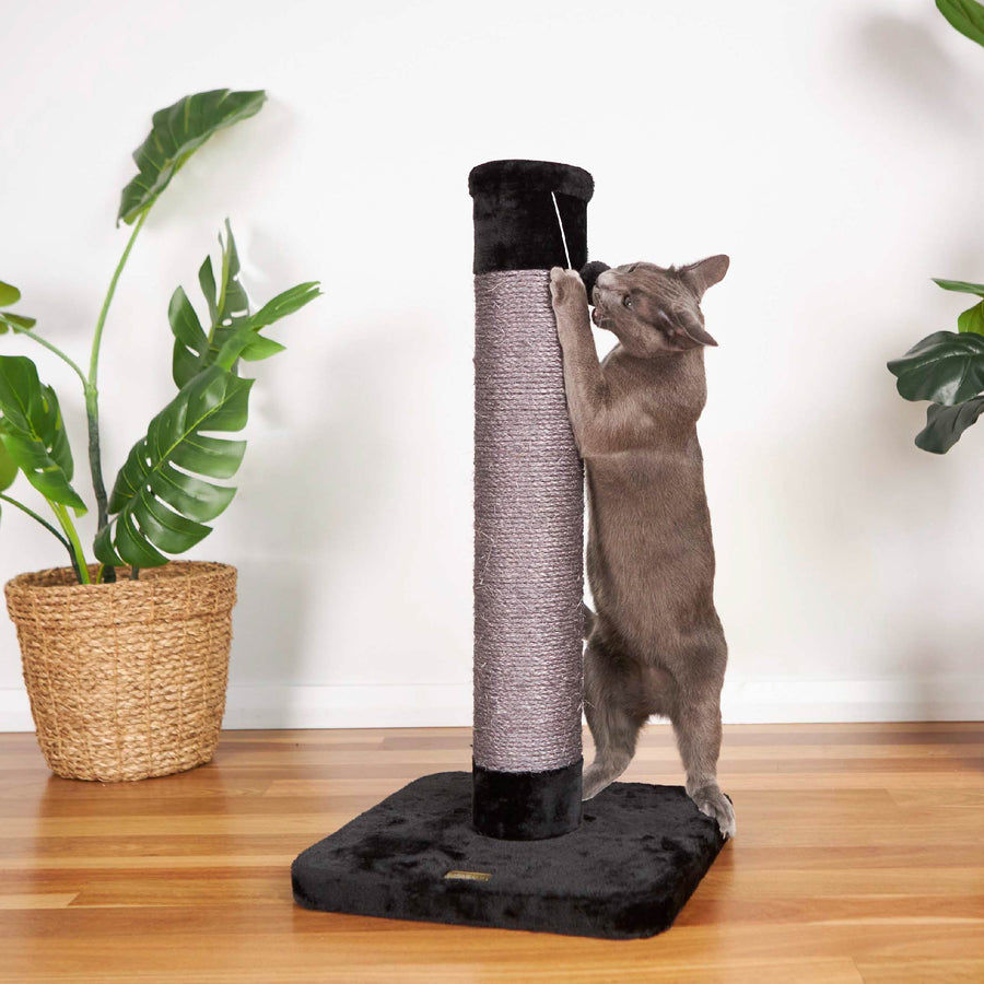 Cat Scratch Post - Medium – Kazoo Pet Co