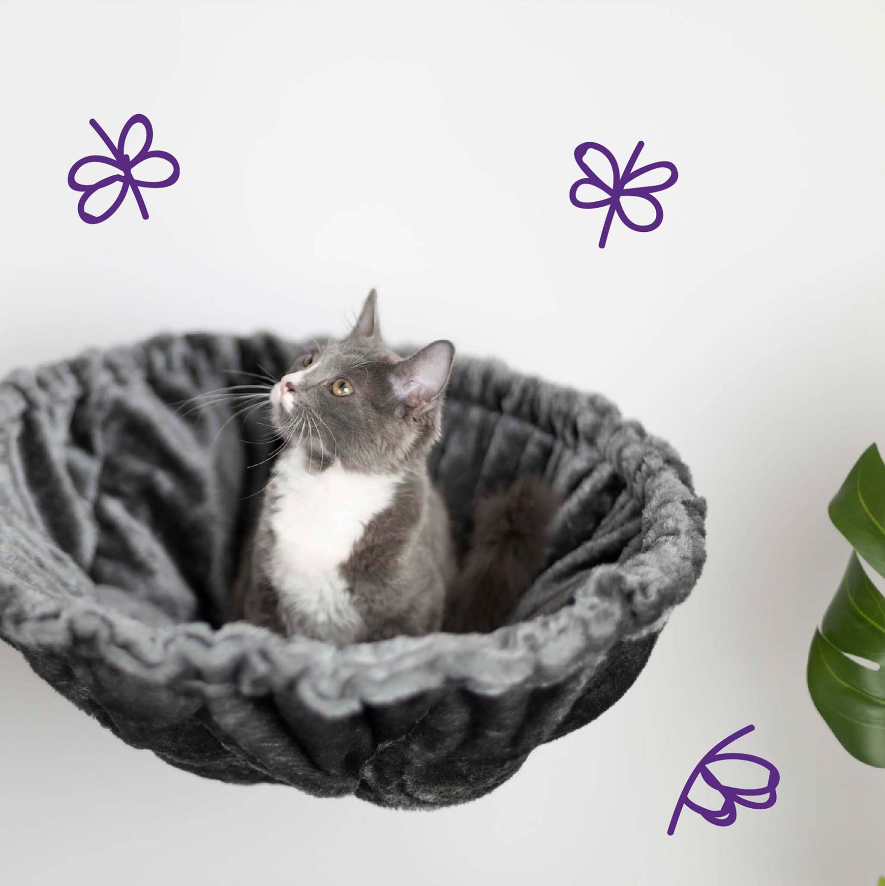 Kitty Scratch & Sleep Post - Charcoal – Kazoo Pet Co