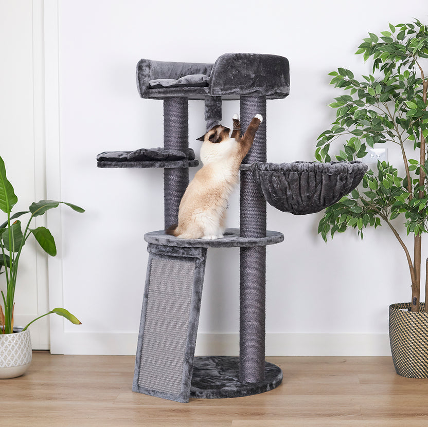 Cat Scratching Posts | Cat Trees & Towers | Kazoo Pet Co