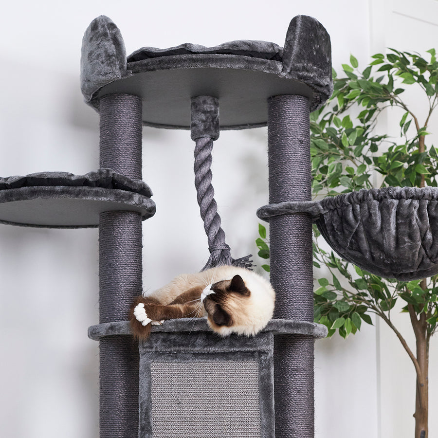 Kitty Scratch & Sleep Post - Charcoal – Kazoo Pet Co