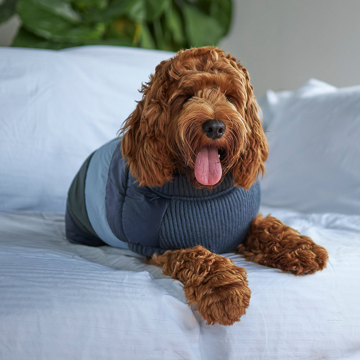 Vovo Dog Puffer Jacket - Seabreeze – Kazoo Pet Co