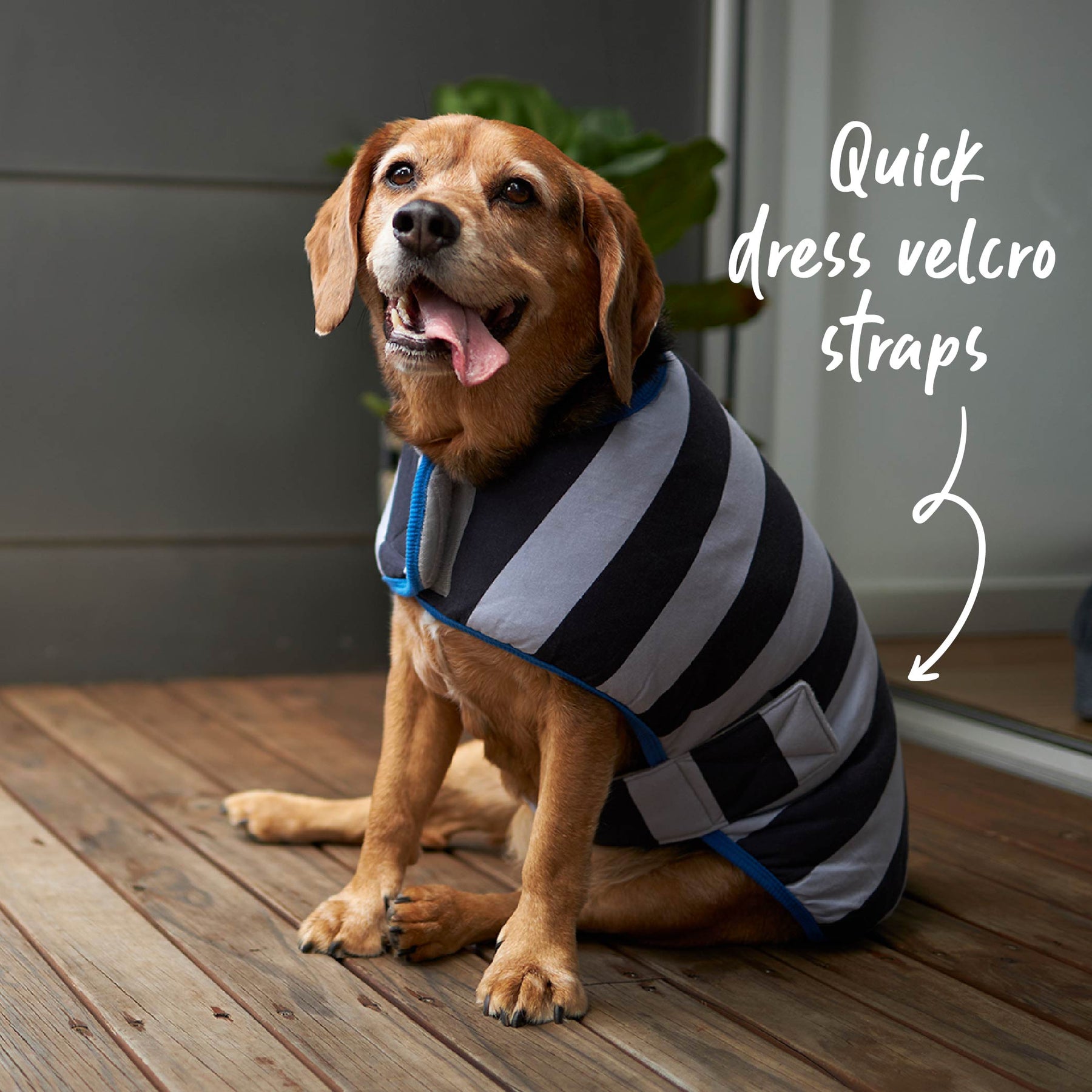 Chunky Stripe Dog Snuggie – Kazoo Pet Co