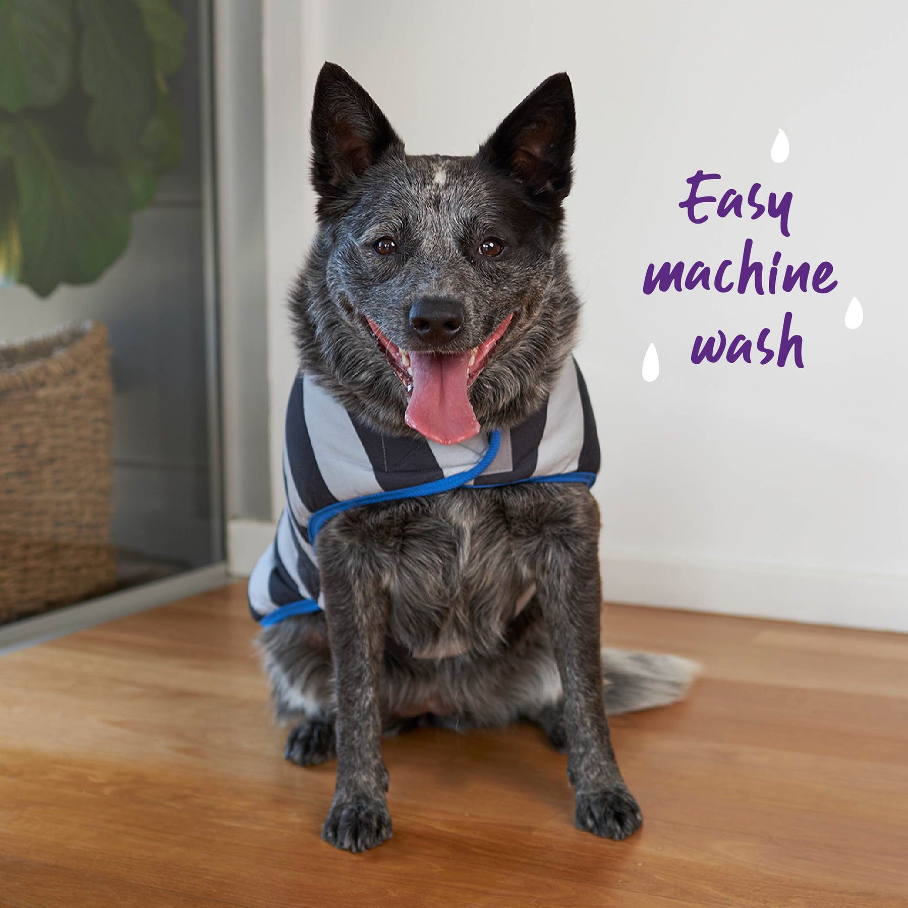 Chunky Stripe Dog Snuggie – Kazoo Pet Co