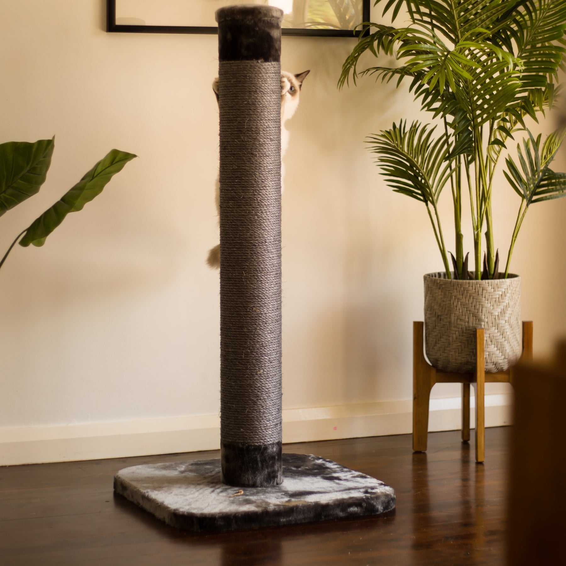 Cat Scratch Post - Large – Kazoo Pet Co