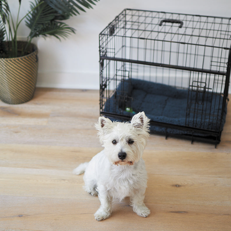 Soft Dog Crate Cushion – Kazoo Pet Co